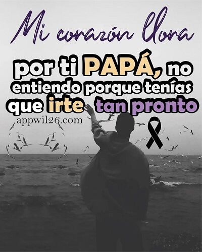 +10 Imágenes de Luto mi Corazón llora por Ti Papá